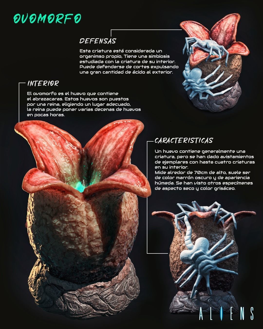 Ovomorph venus flytrap 3D model | CGTrader