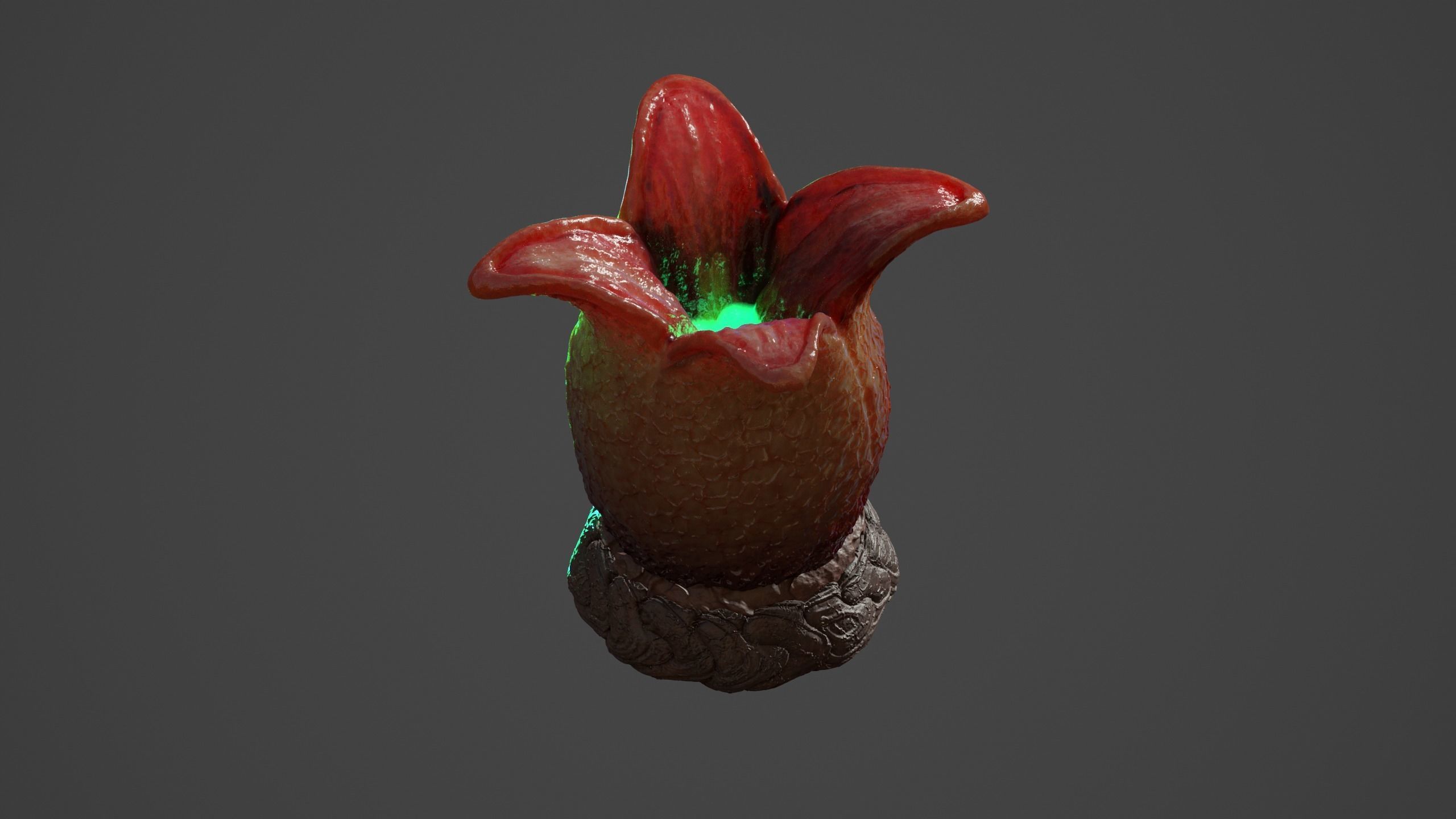Ovomorph venus flytrap 3D model | CGTrader