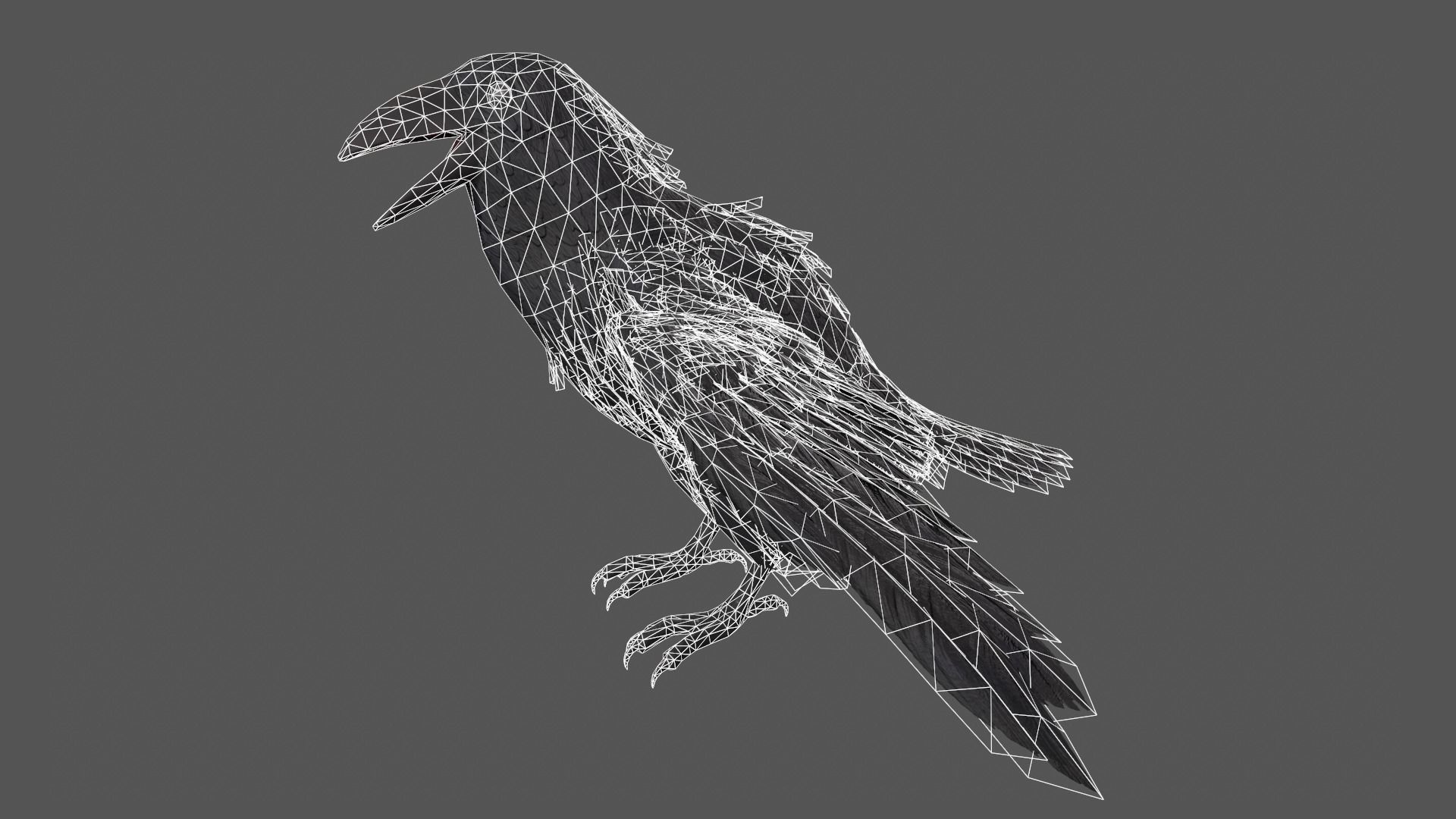 3D model Raven VR / AR / low-poly | CGTrader
