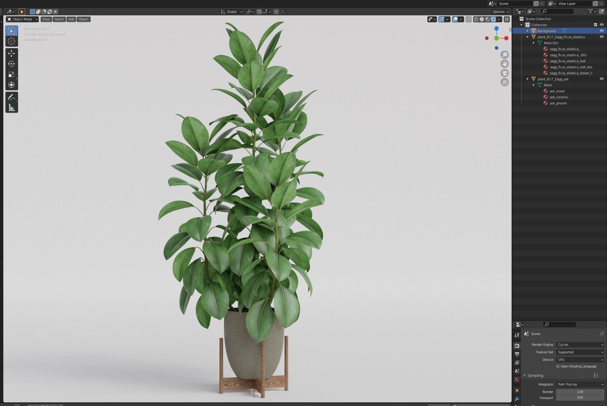 Plants collection 817 3D model | CGTrader