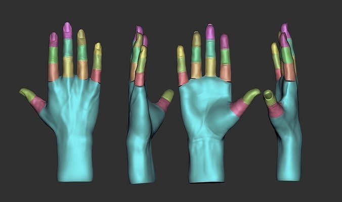 female hand to pose 3D model 3D printable | CGTrader