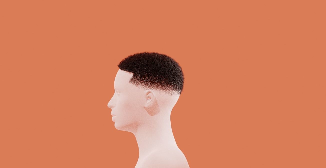 Fade Hair 3D model | CGTrader