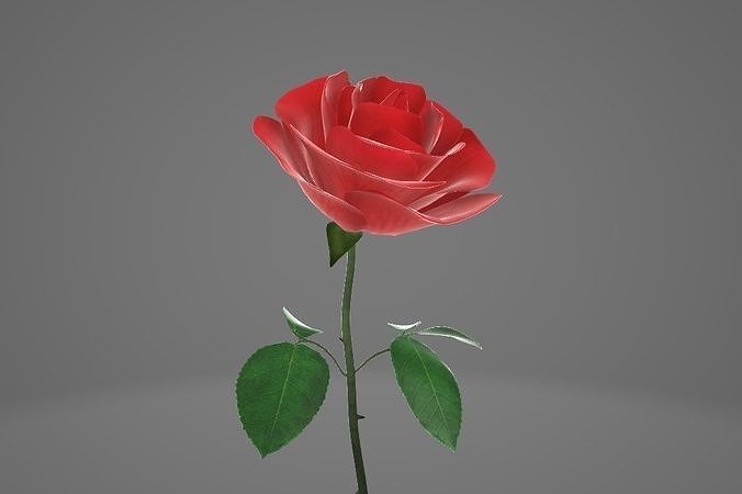 Red Rose 3D model rigged | CGTrader