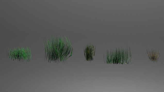 Grass Clumps 3D model | CGTrader