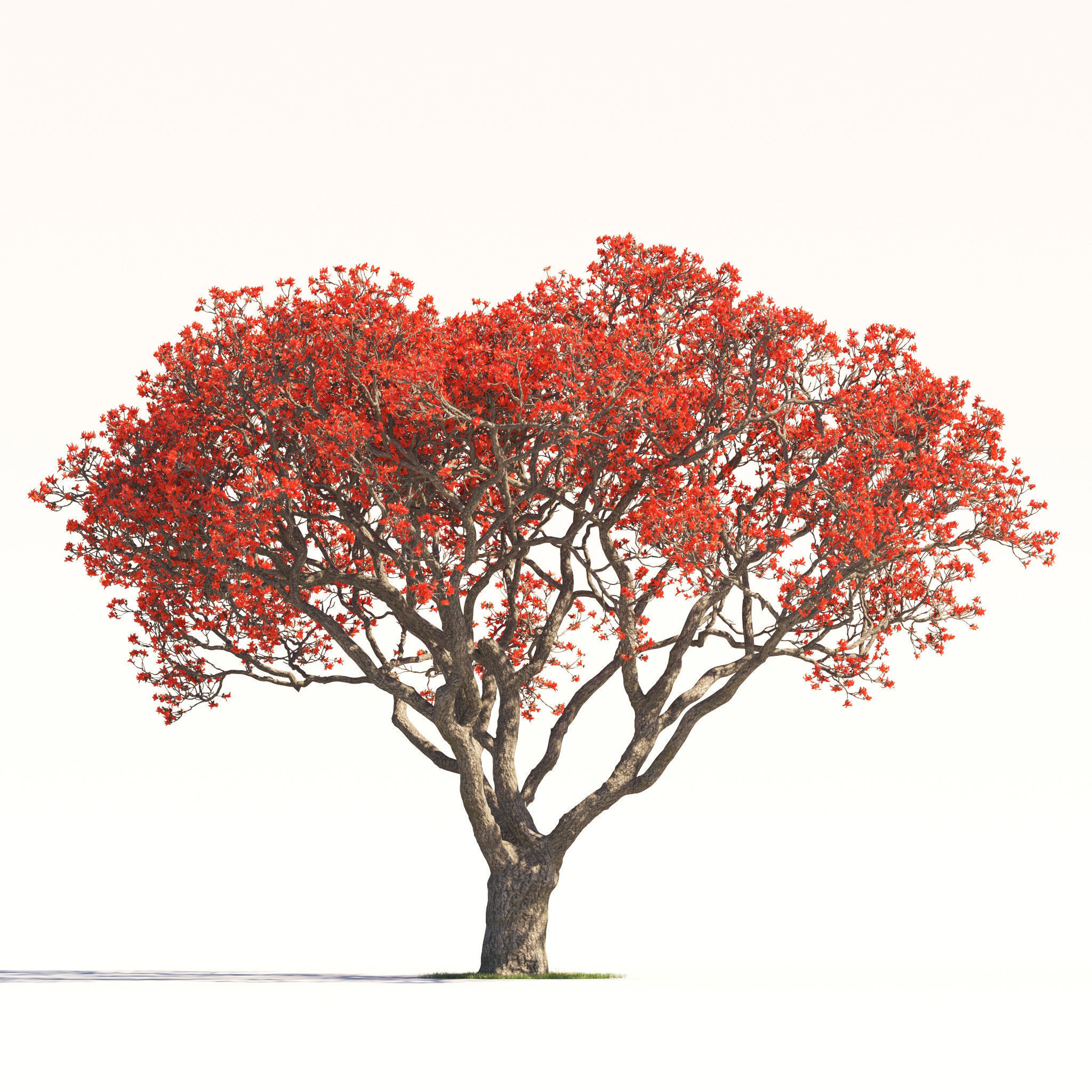 Archmodels vol 264 - collection of 40 blooming trees 3D model | CGTrader