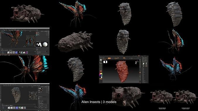 3D Model Collection Alien Insects VR / AR / low-poly | CGTrader