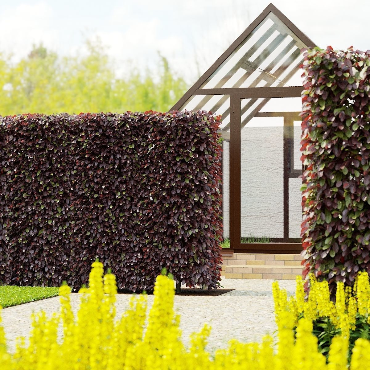 Fagus sylvatica hedge 3D model | CGTrader