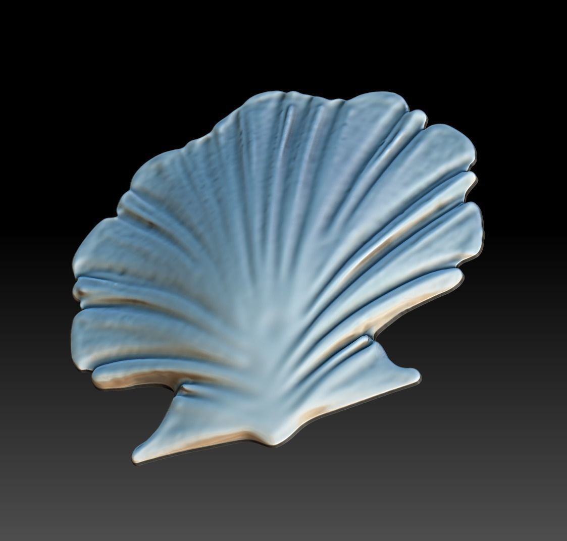 Shell 3D model 3D printable | CGTrader