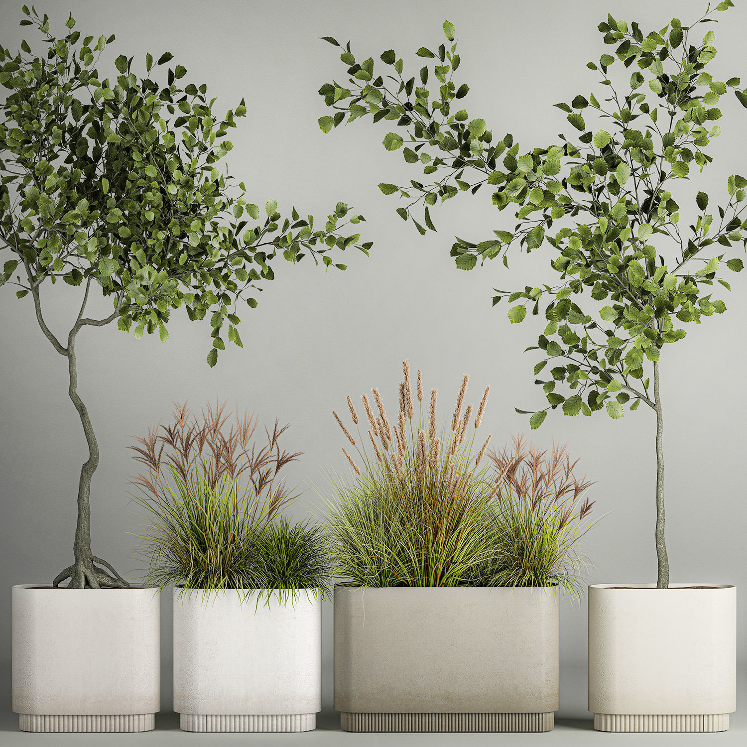 Decorative Trees In Concrete Pots For Landscaping 3D model | CGTrader