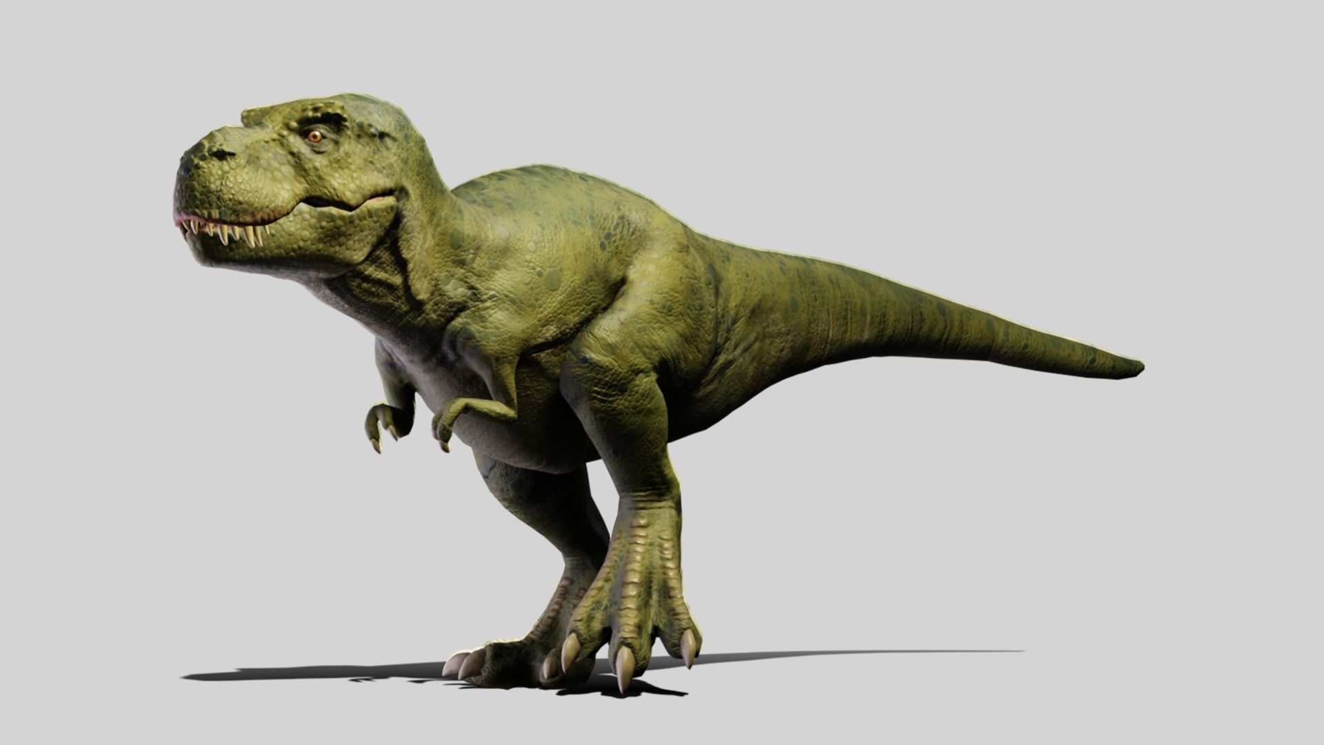3D model Tyrannosaurus rex VR / AR / low-poly | CGTrader