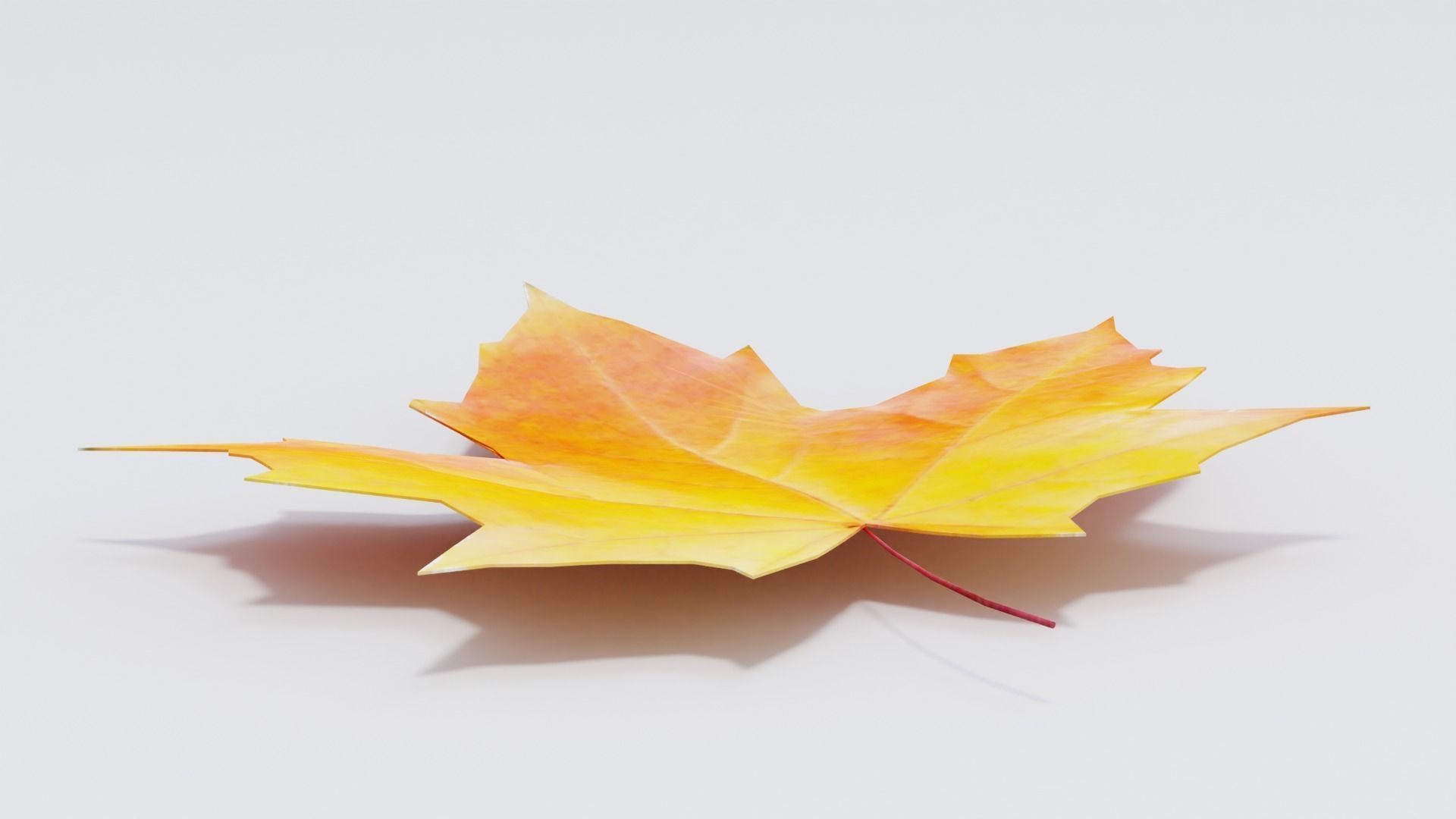 Maple Leaf 3D model | CGTrader