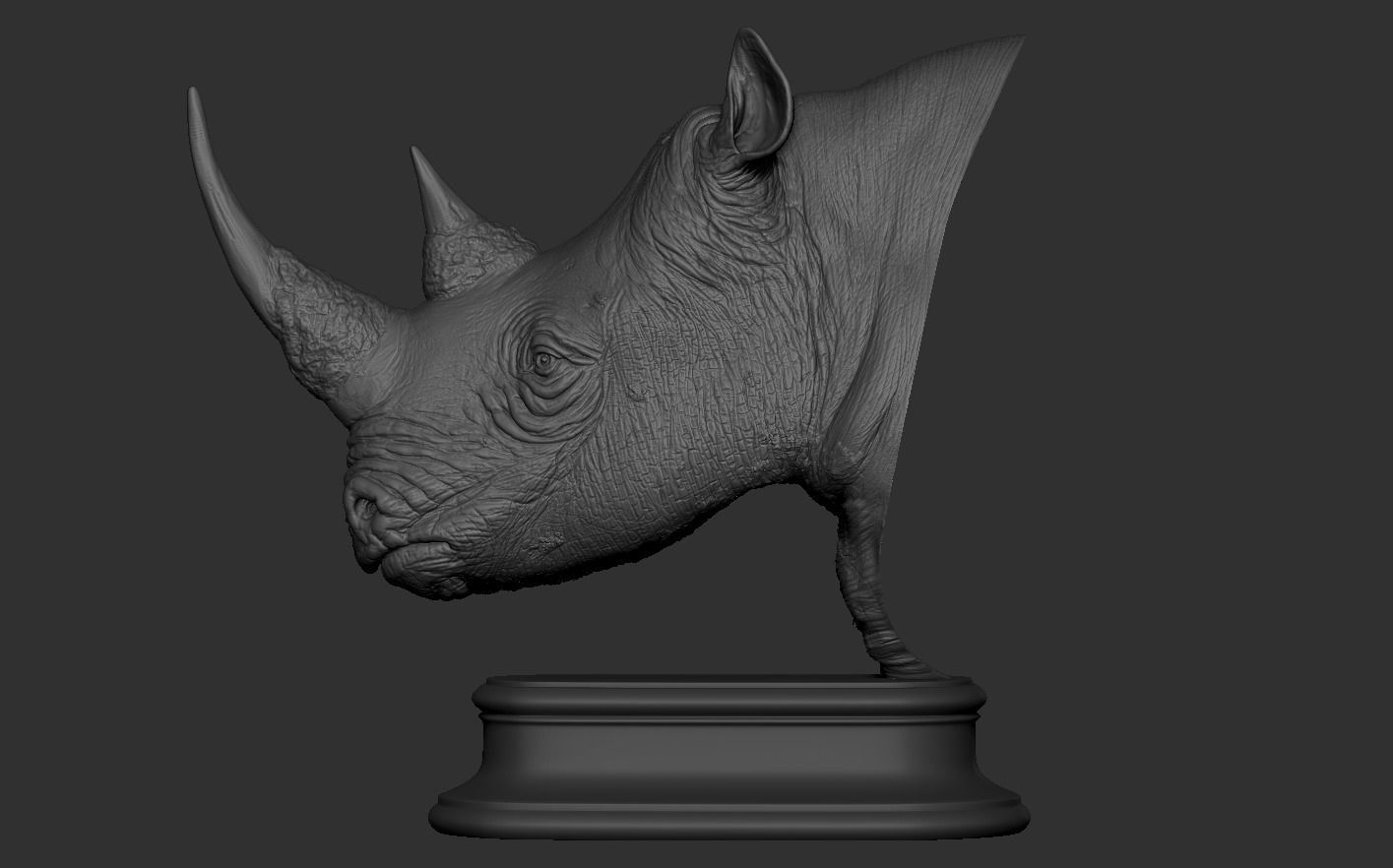 Rhinoceros 3D model 3D printable | CGTrader