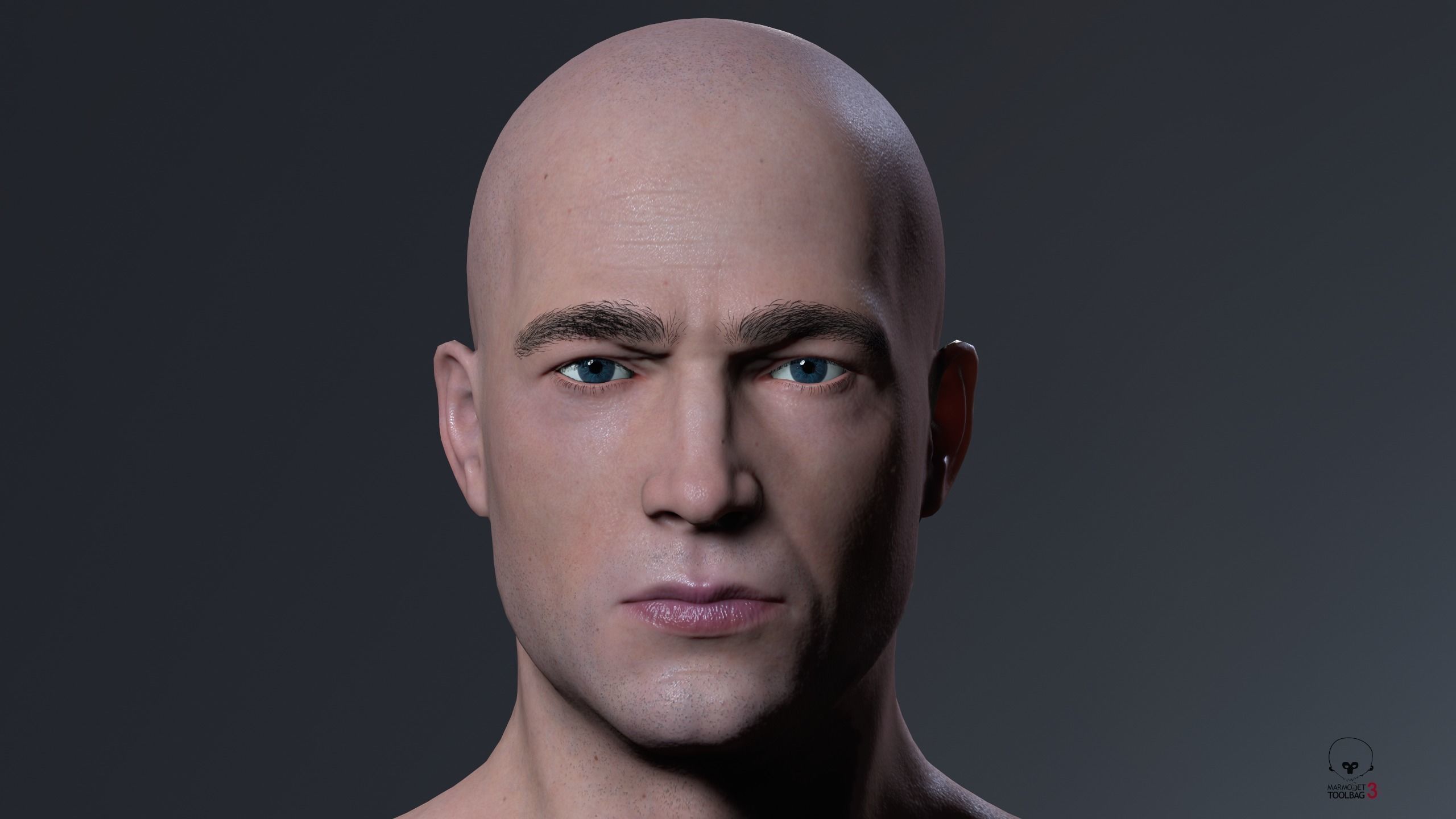 3D model Male Body 01 VR / AR / low-poly | CGTrader