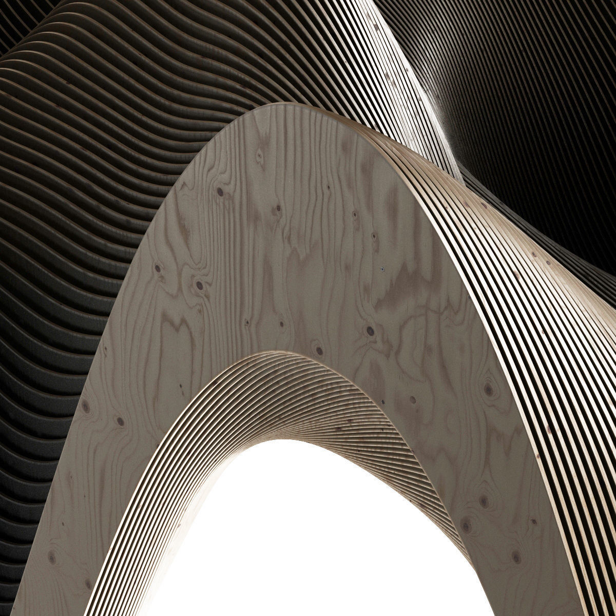 Parametric hall n5 3D model | CGTrader