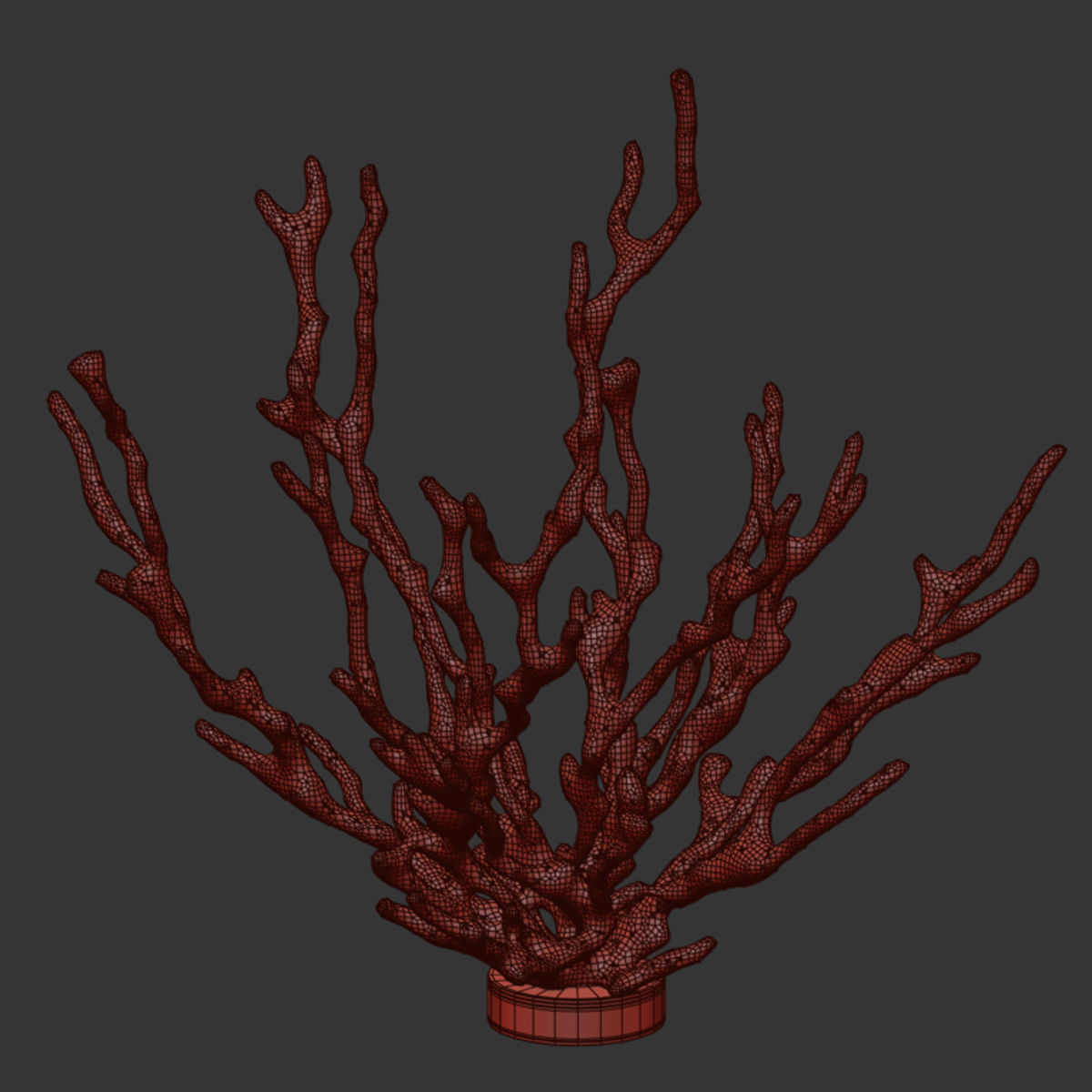 Decor coral 3D model | CGTrader