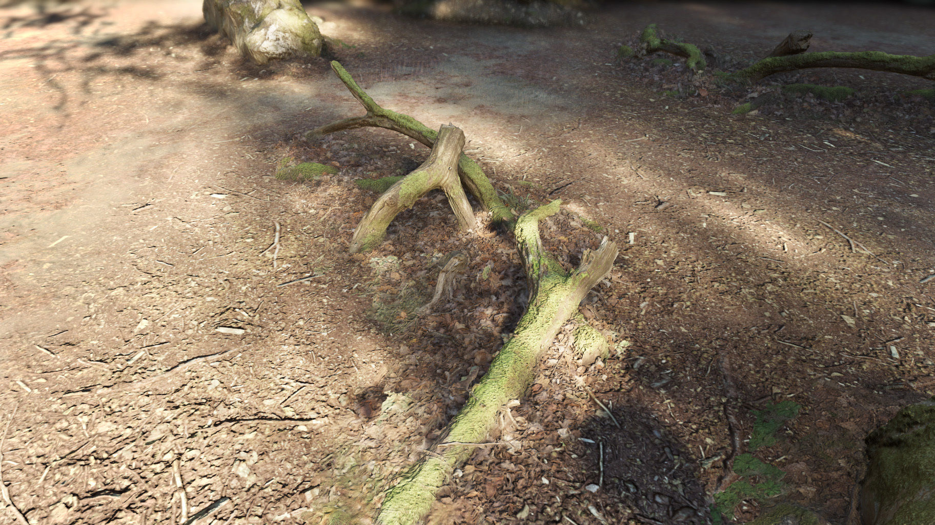 Forest Tree Root D 3D model | CGTrader