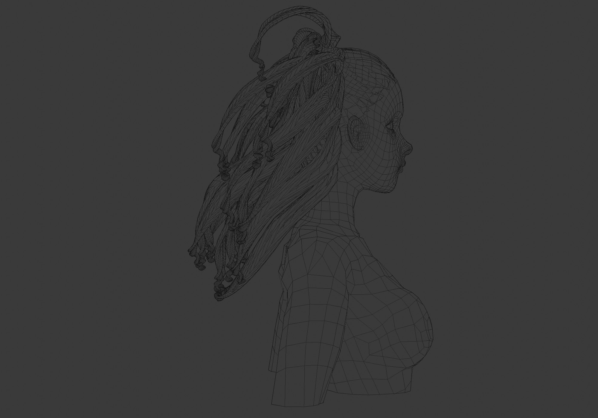 Crazy Windy Hairstyle V45621 3D model | CGTrader
