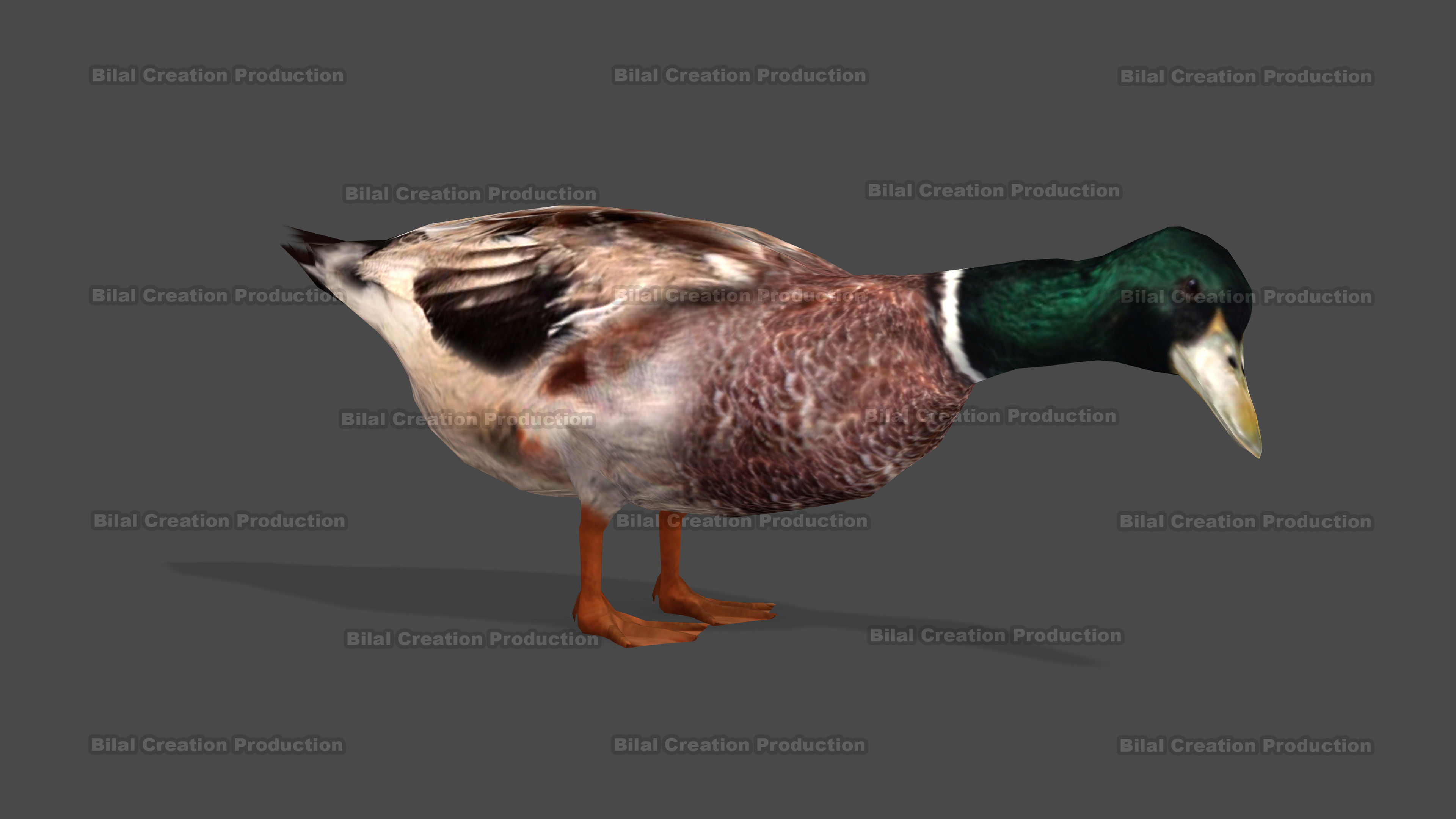 3D model DUCK MALE ANIMATED VR / AR / low-poly | CGTrader
