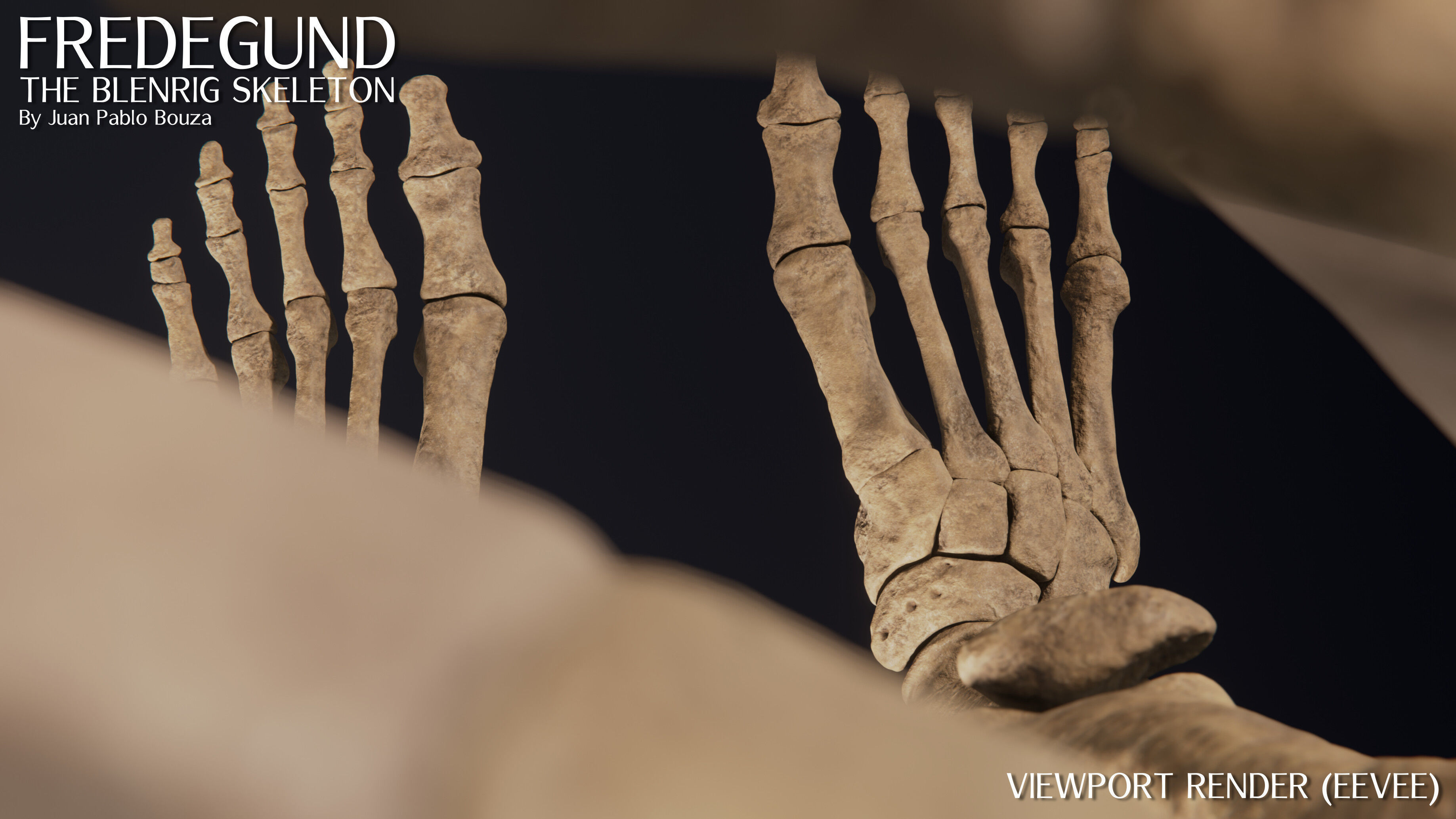 3D model Fredegund - The BlenRig Skeleton VR / AR / low-poly | CGTrader