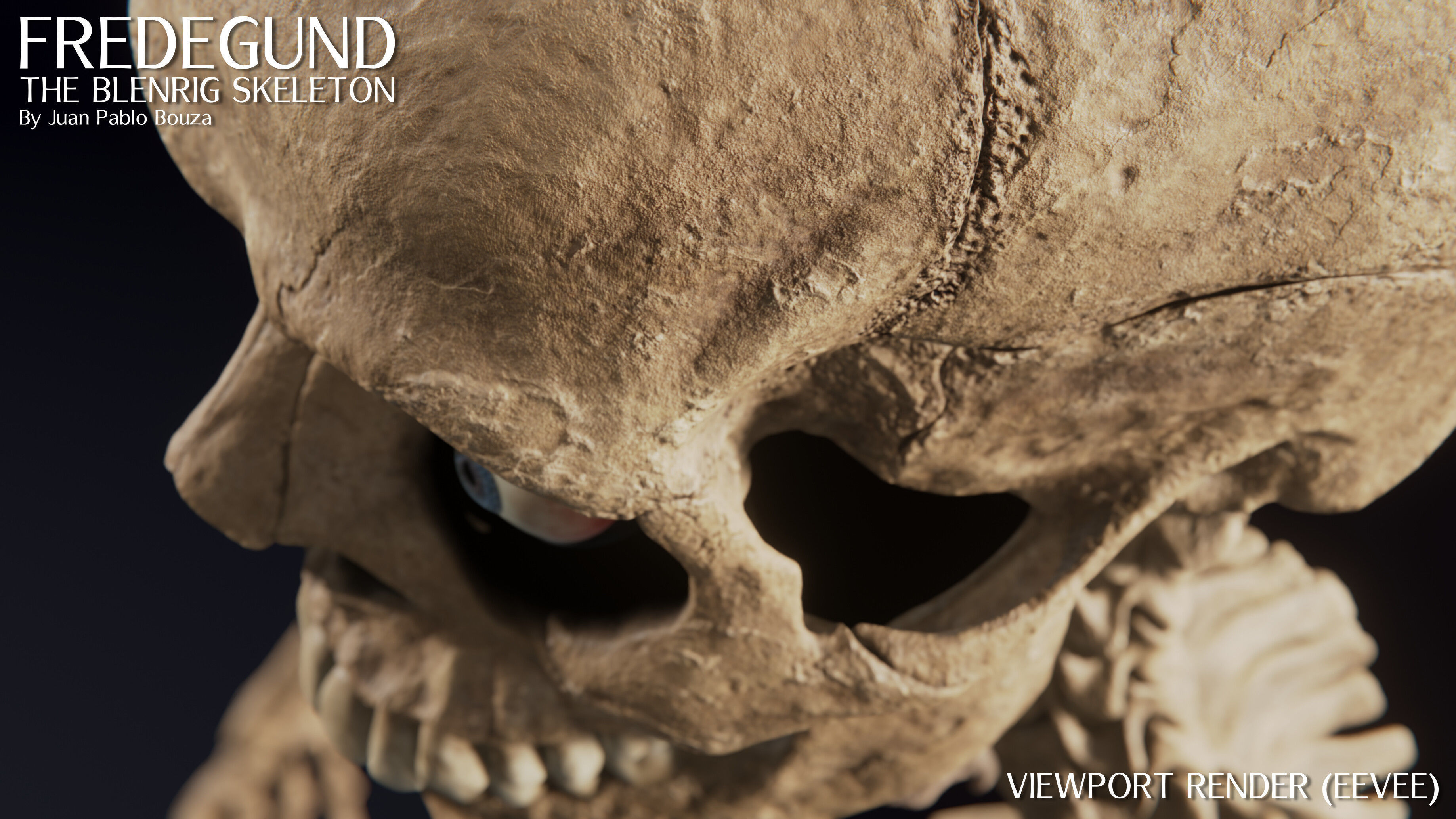 3D model Fredegund - The BlenRig Skeleton VR / AR / low-poly | CGTrader