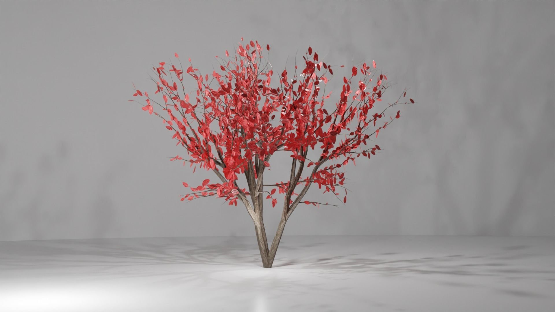 Japanese Trees Collection 3D model | CGTrader