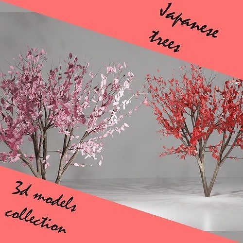 Japanese Trees Collection 3D model | CGTrader