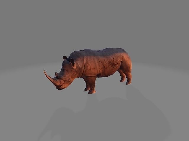 Rhino 3D model | CGTrader