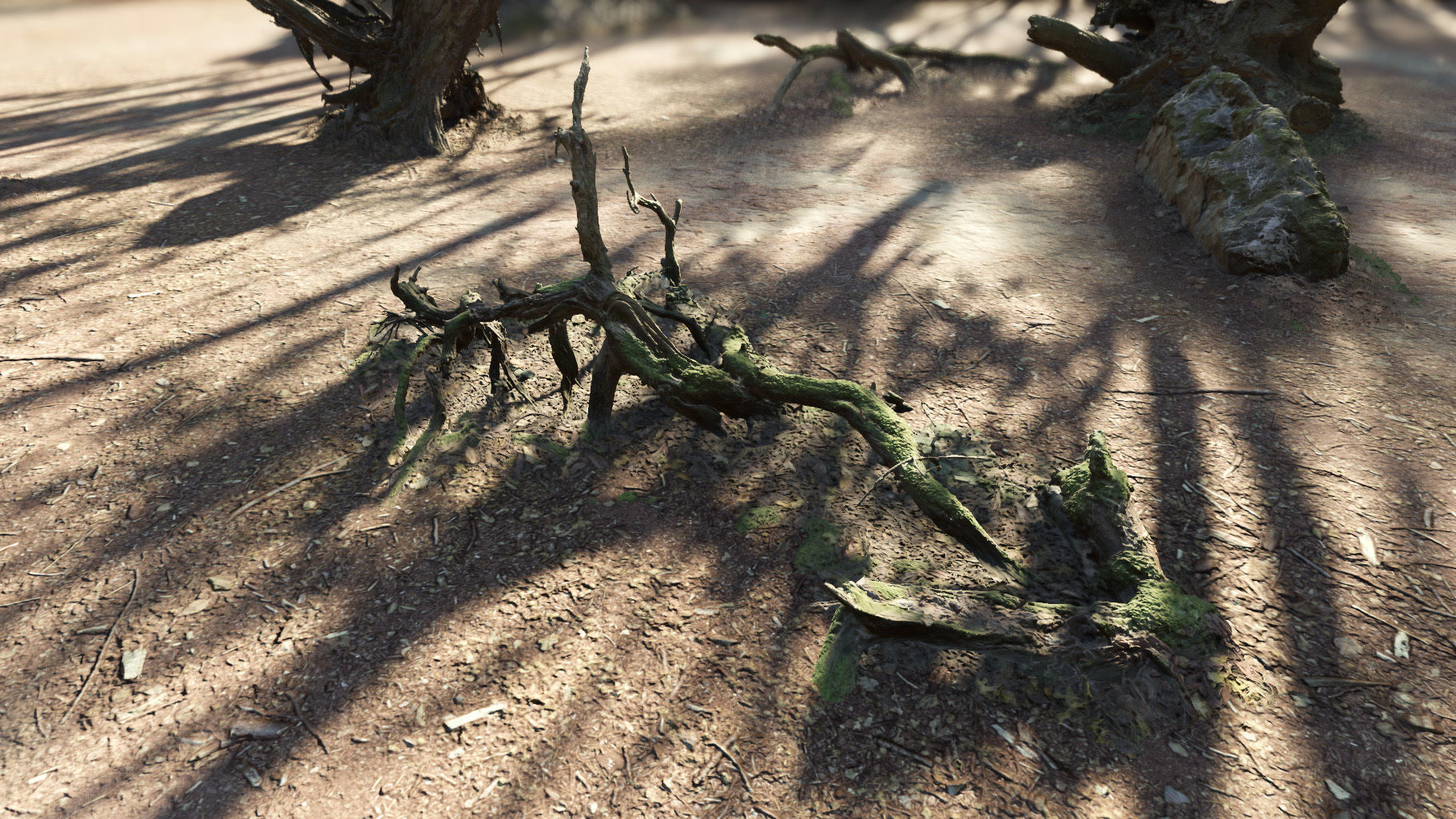 Forest Tree Root E 3D model | CGTrader