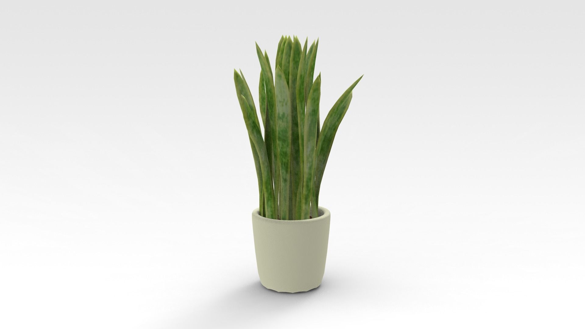 Pot plant 3D model | CGTrader