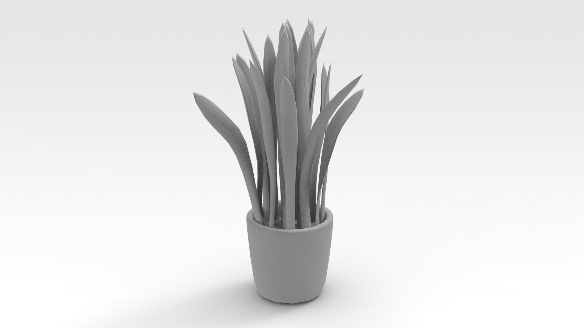 Pot plant 3D model | CGTrader