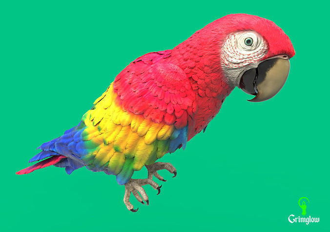 Scarlet macaw 3D model 3D printable | CGTrader