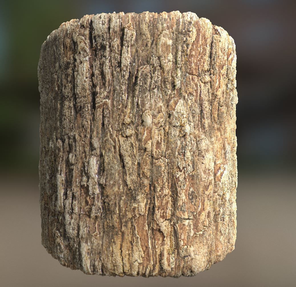 10 Tree Bark Material sbsar file and 4k PBR Textures Texture | CGTrader
