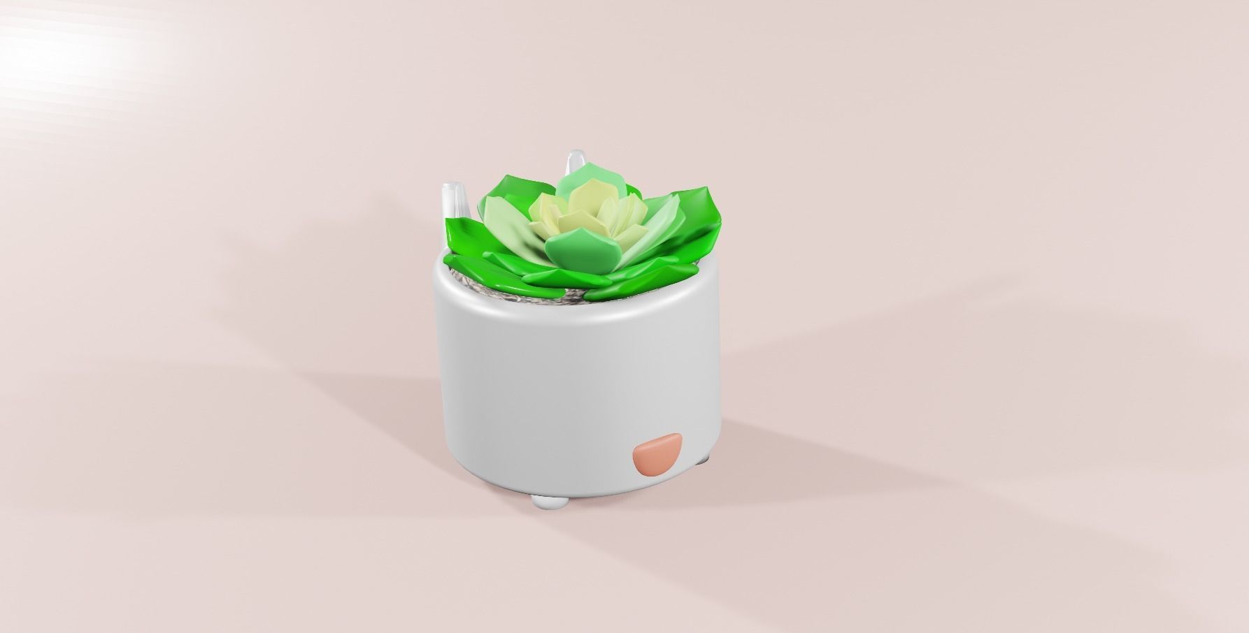 succulent rabbit 3D model | CGTrader