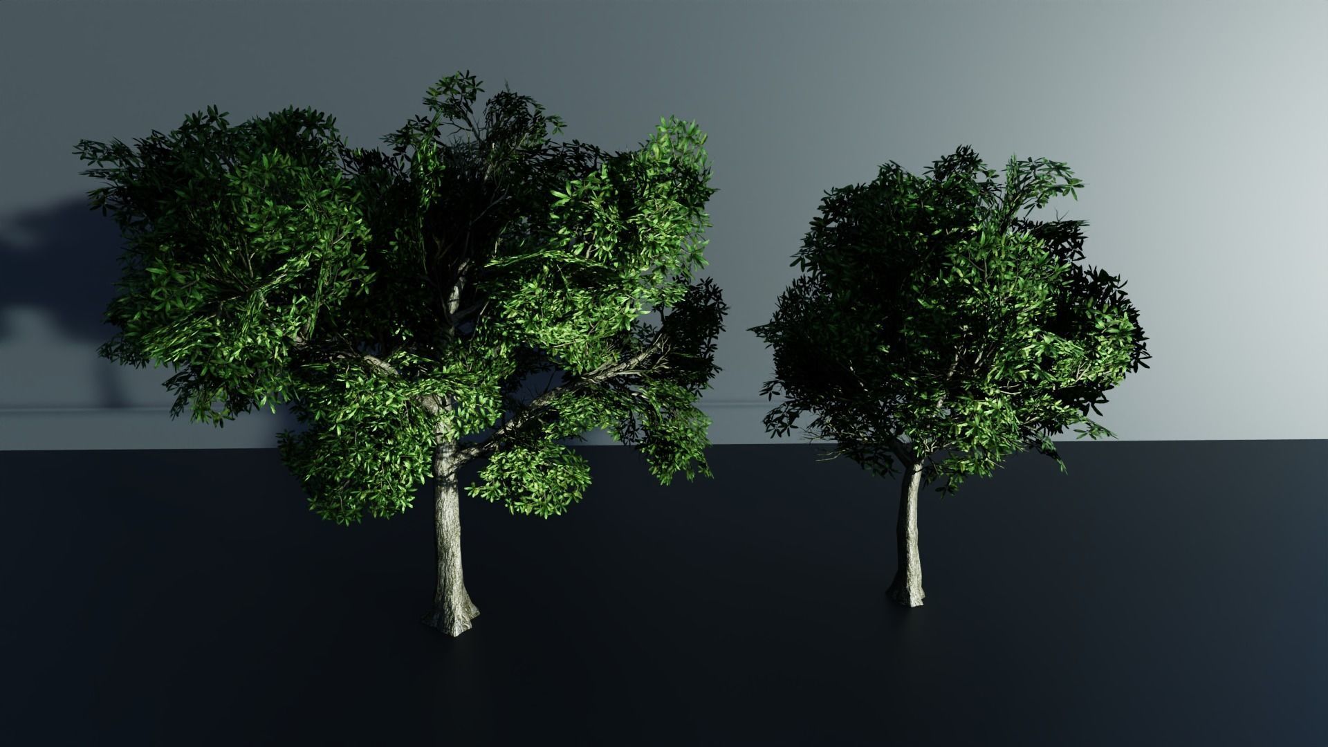 3D model low-ploy 3D models Forest VR / AR / low-poly | CGTrader
