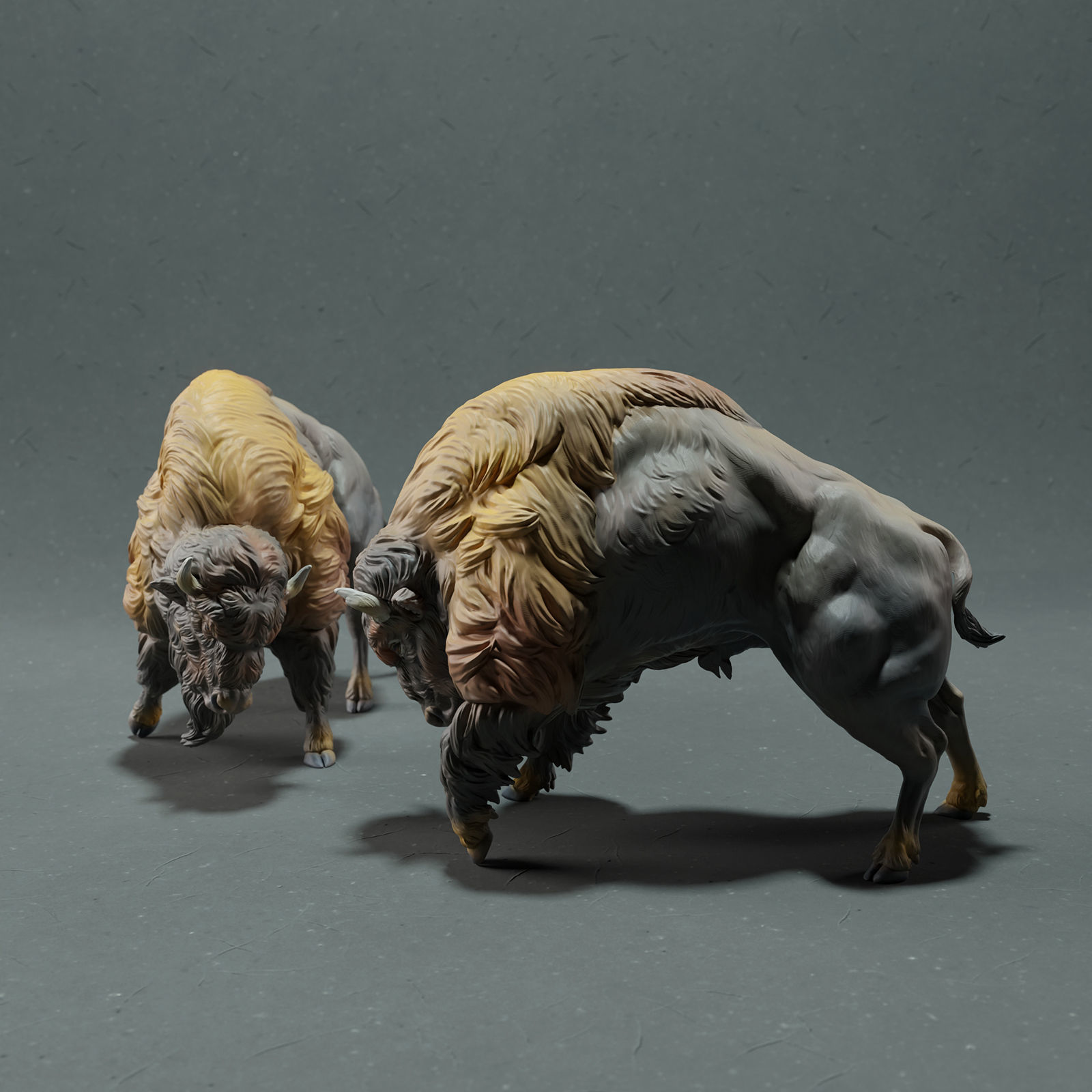 American Bison - Fight 3D model 3D printable | CGTrader