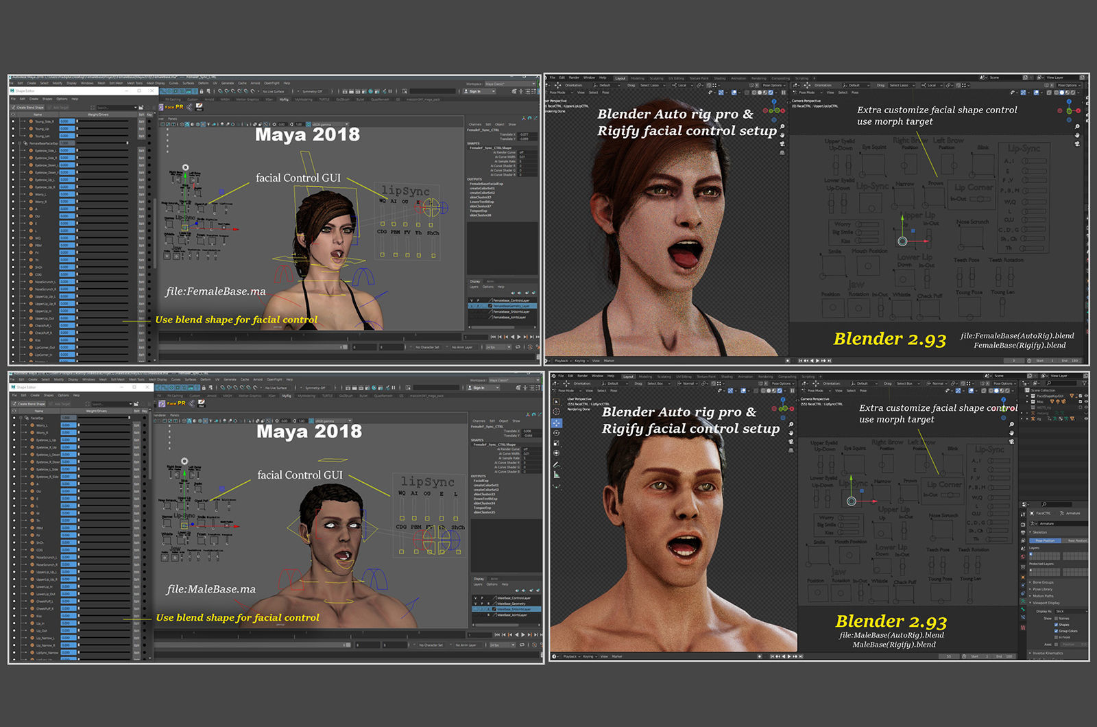 3D model Male Female Base Rig VR / AR / low-poly | CGTrader