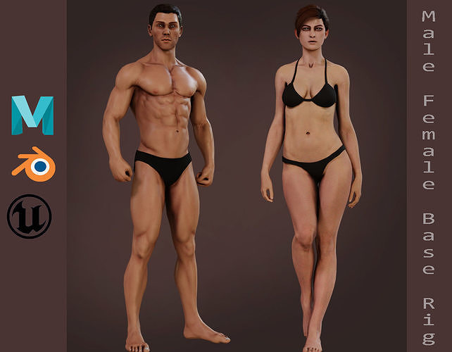 3D model Male Female Base Rig VR / AR / low-poly | CGTrader