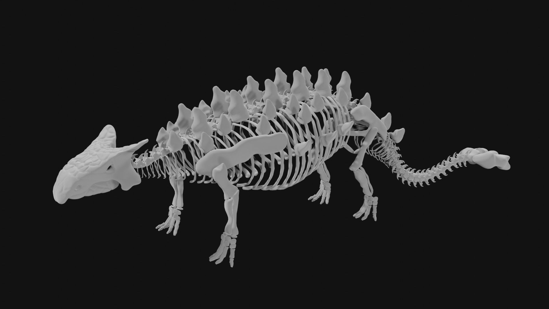Ankylosaurus skeleton 3D model | CGTrader