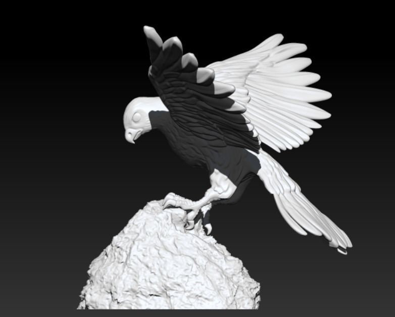 Falcon 3D model 3D printable | CGTrader