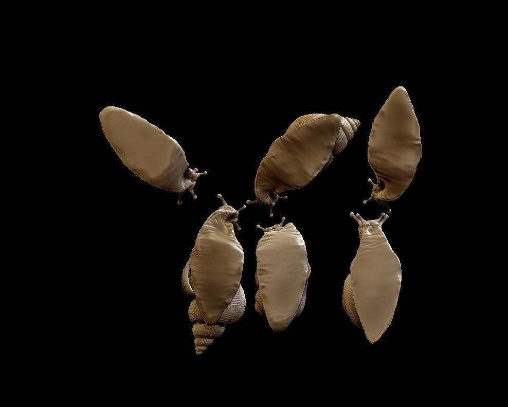 Snail set two snails 3D model 3D printable | CGTrader