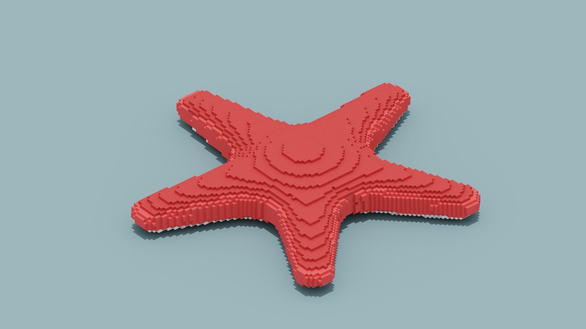3D model Voxel Starfish VR / AR / low-poly | CGTrader