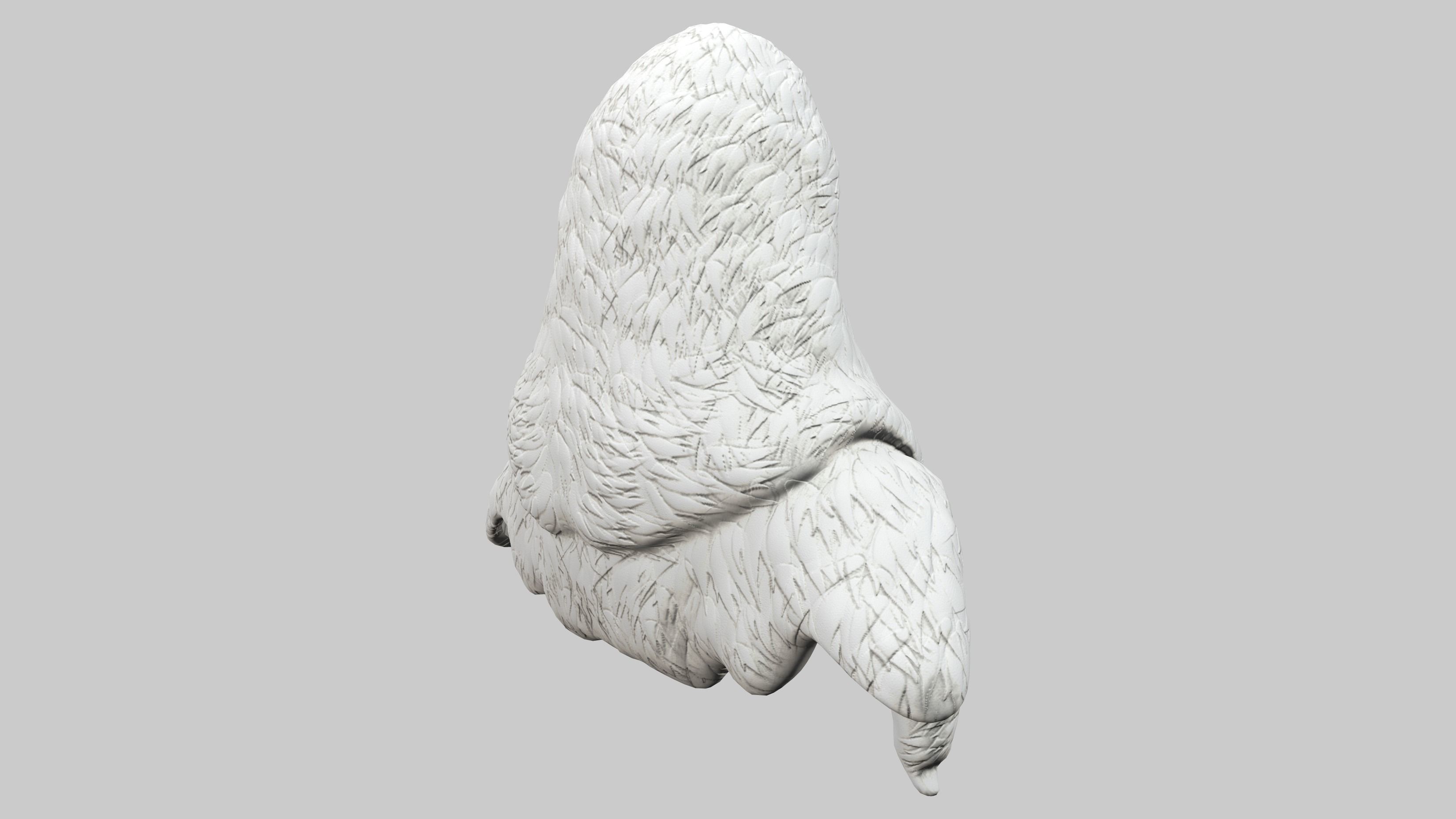 3D model Fantasy Fur Bolero Hoodie Top VR / AR / low-poly | CGTrader