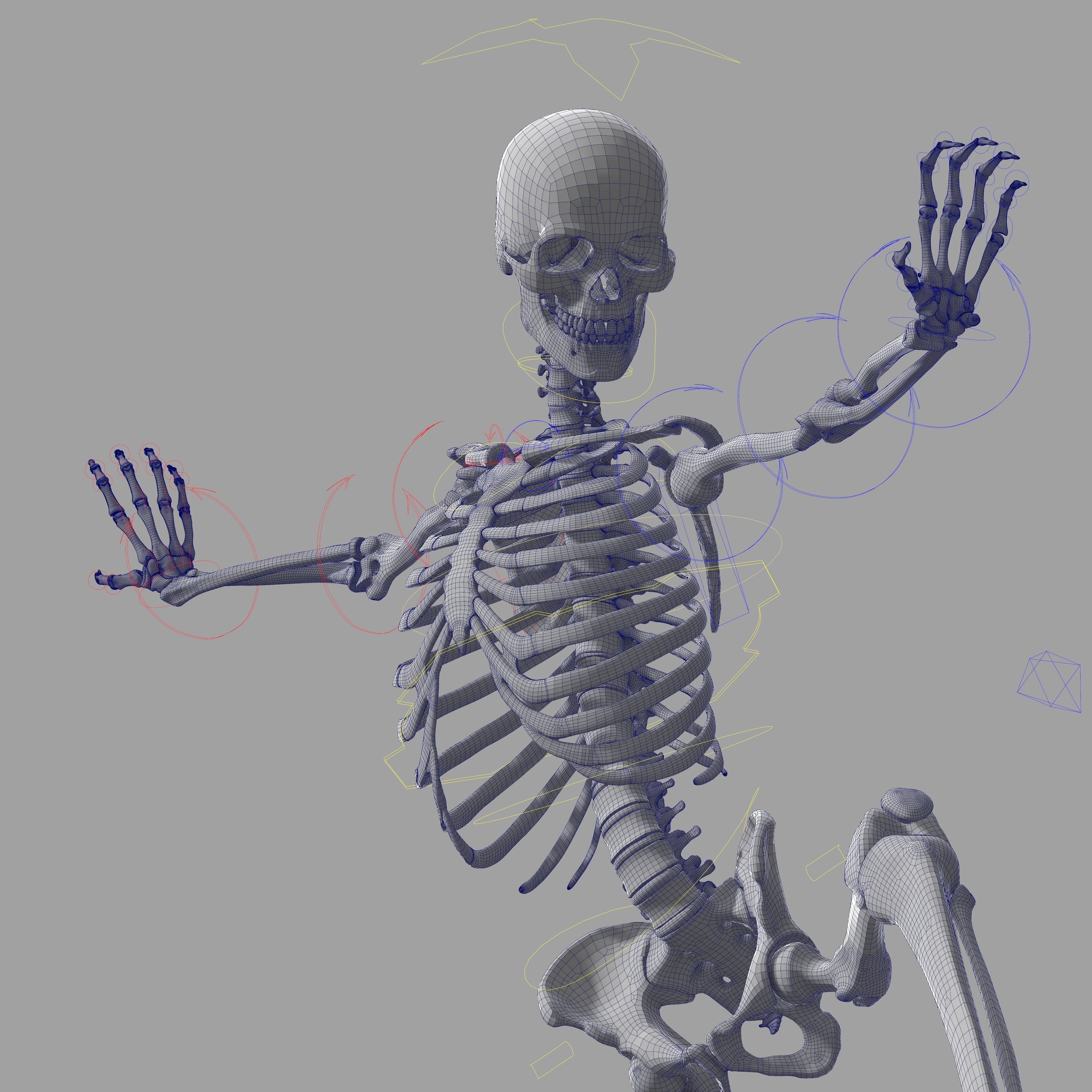 3D model Rigged Skeleton - Skeletal System - Skeleton Rig VR / AR / low ...