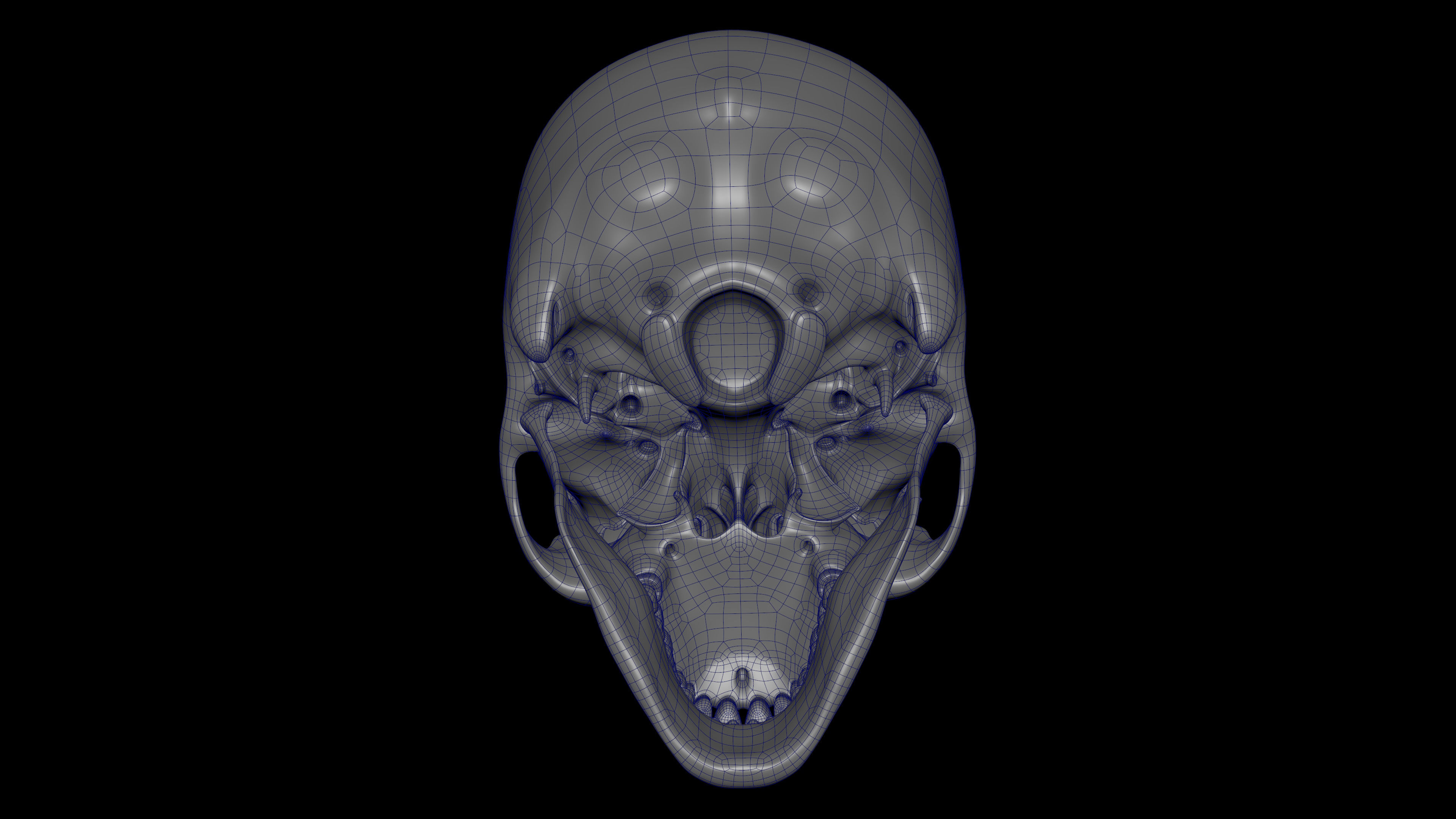 3D model Rigged Skeleton - Skeletal System - Skeleton Rig VR / AR / low ...