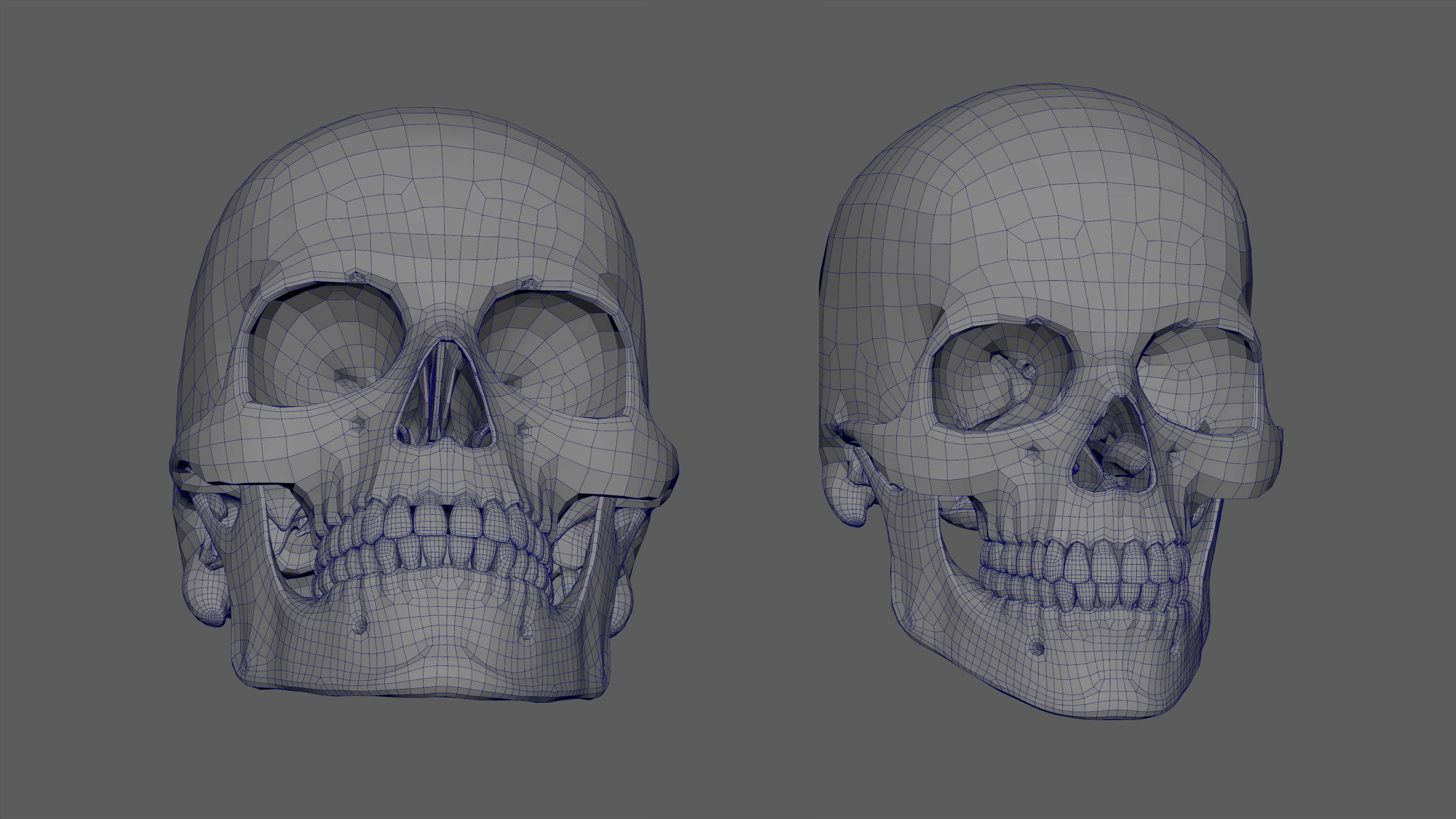 3D model Rigged Skeleton - Skeletal System - Skeleton Rig VR / AR / low ...