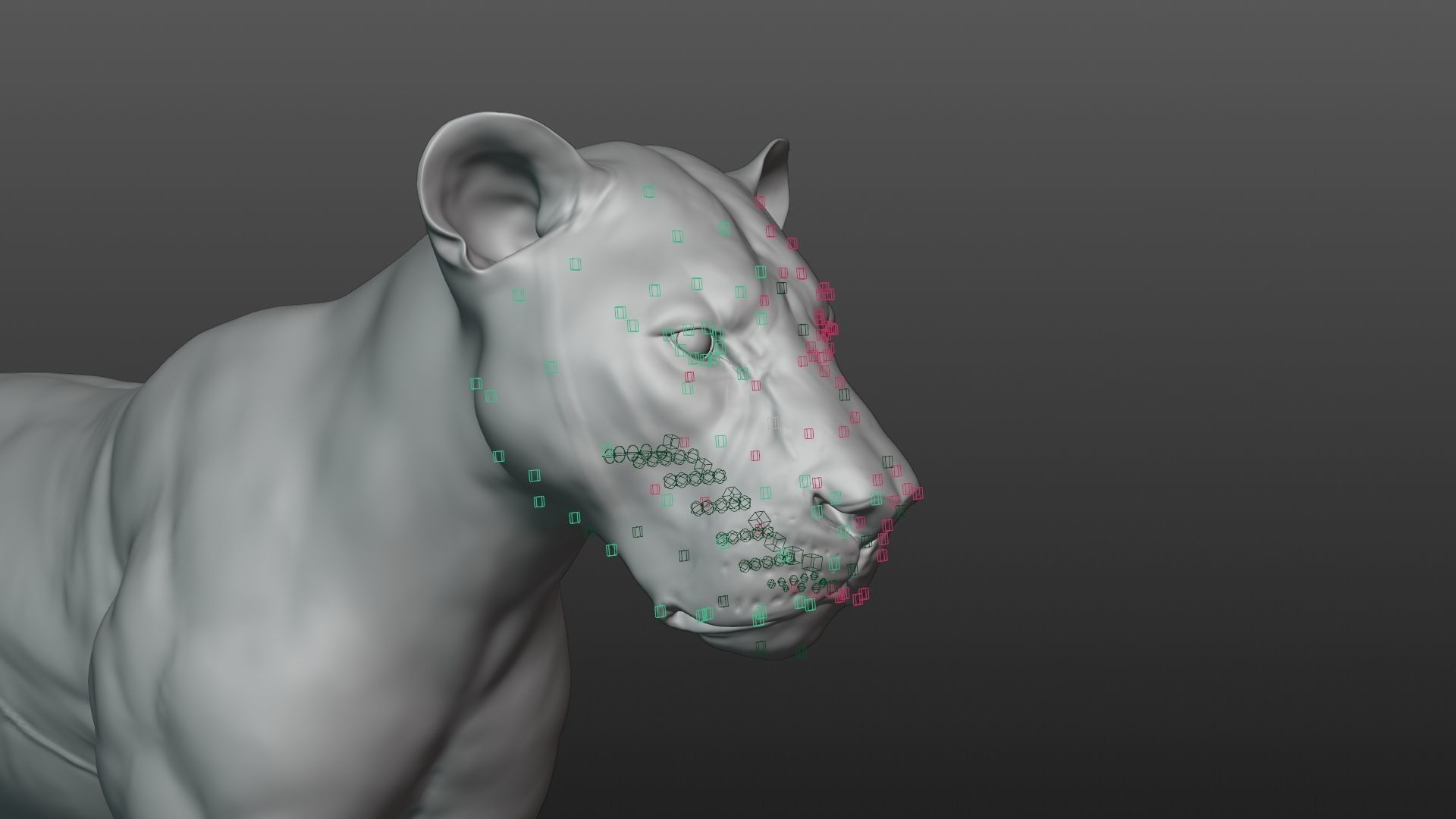 Male Lion Animated VFX Grace 3D model animated rigged | CGTrader
