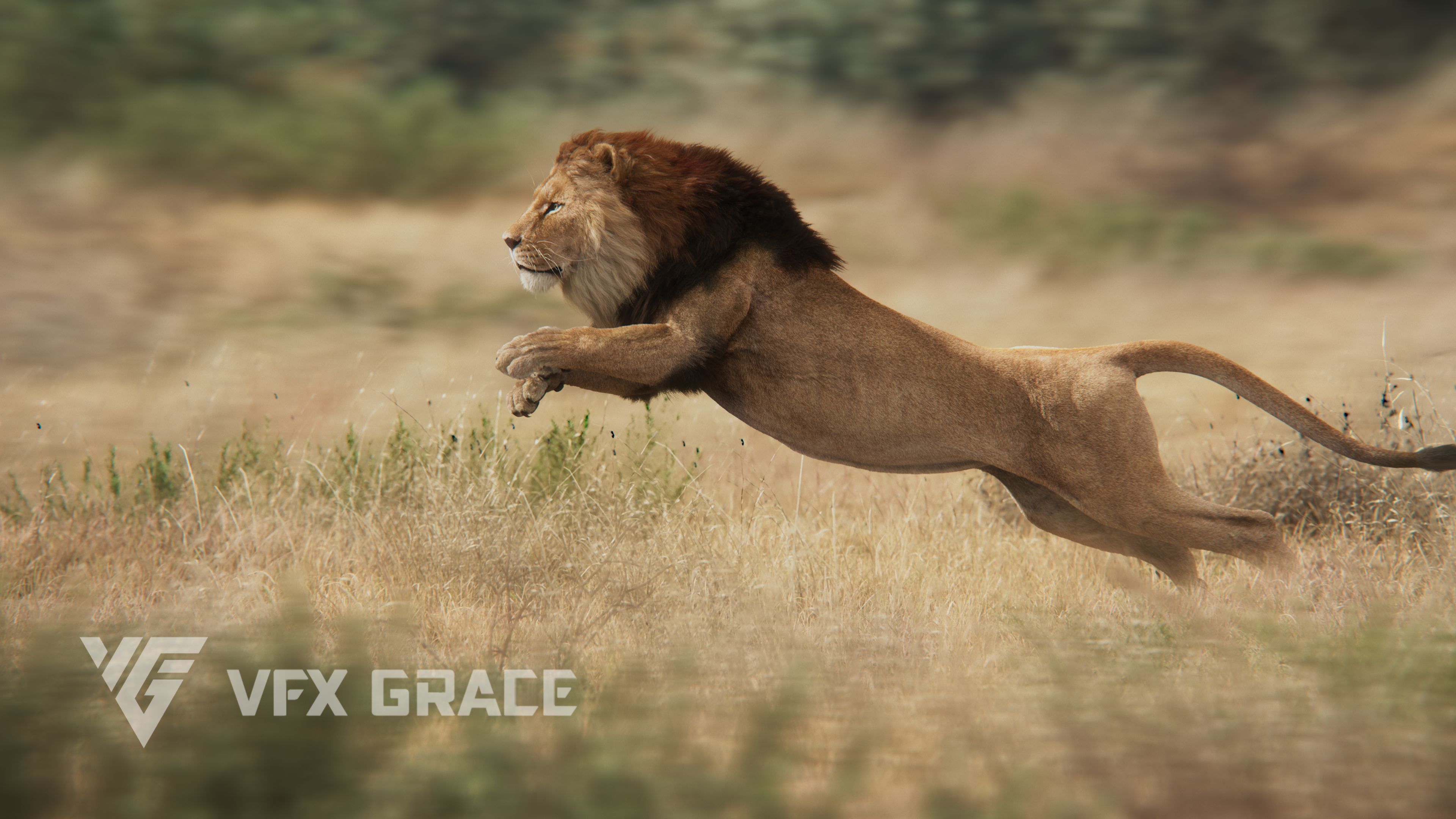 Male Lion Animated VFX Grace 3D model animated rigged | CGTrader