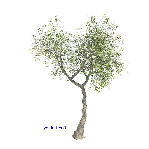 yalda tree 3 free 3D model | CGTrader
