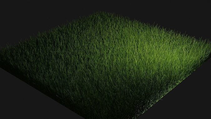 A tile of grasspatch free 3D model | CGTrader
