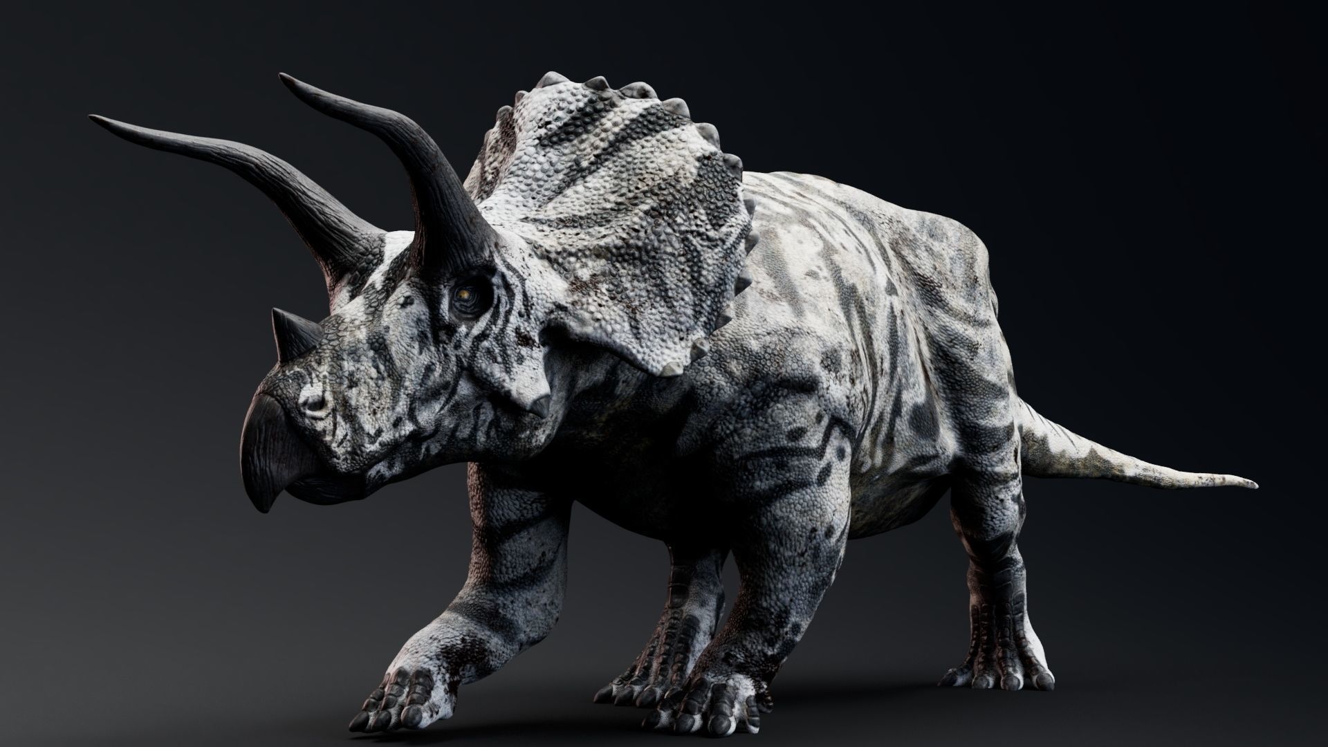 3D model Triceratops Unreal Engine and Unity Projects VR / AR / low ...